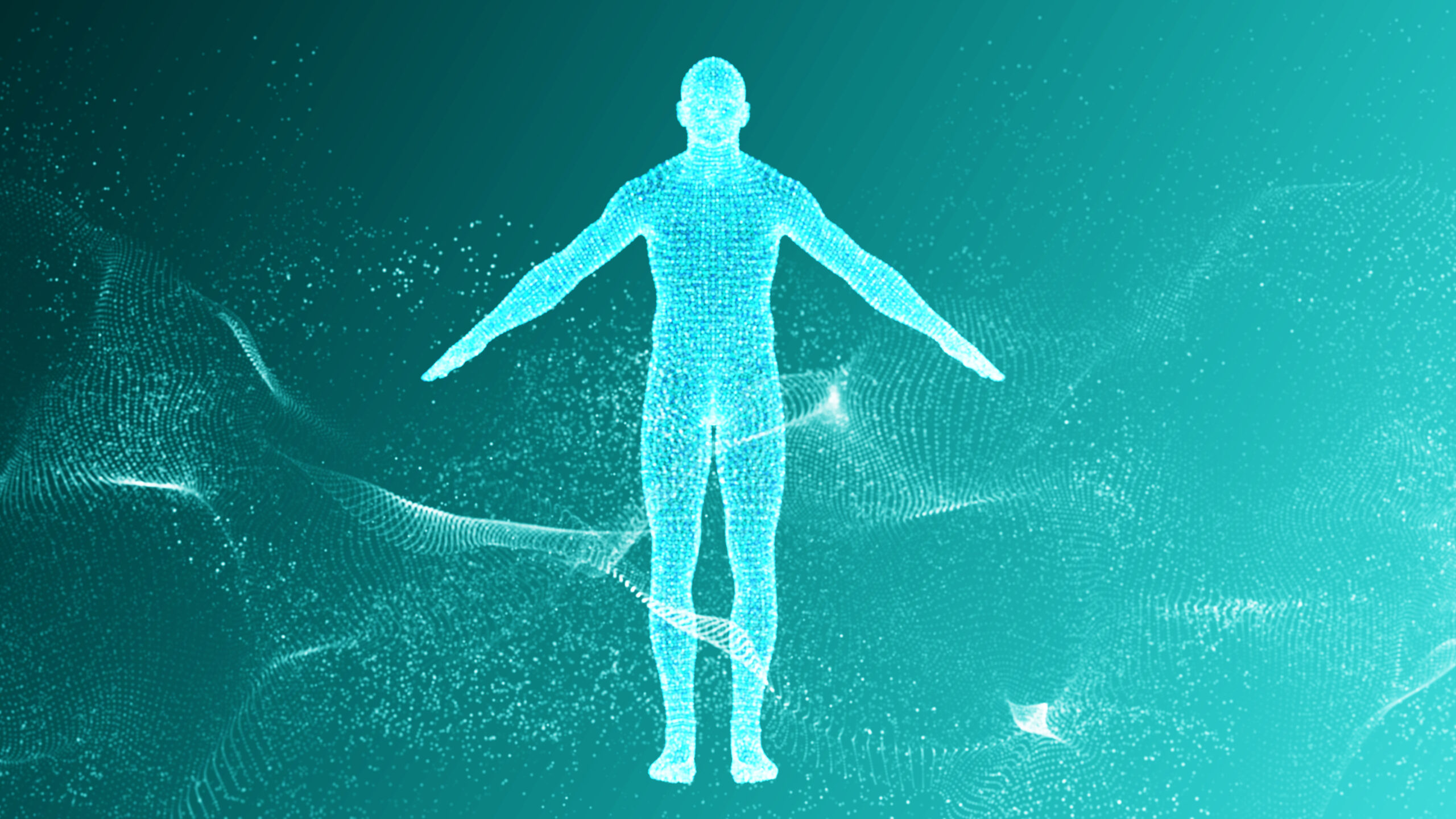 Internal Formation of Human Body: An Analysis | South Asia Journal